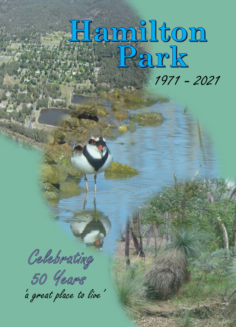 Celebrate | Hamilton Park